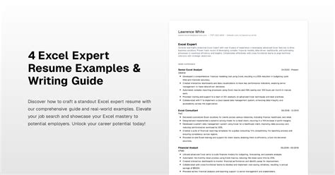 4 Excel Expert Resume Examples And Writing Guide