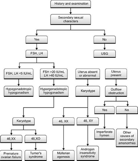 Primary Amenorrhea Algorithm