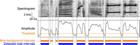 Boundary Detection By Thresholding In The Bd → Lc → Gs Arrangement Download Scientific