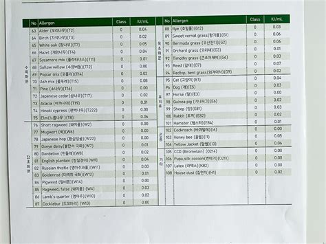 피부과 알레르기 검사 비용 Mast 검사
