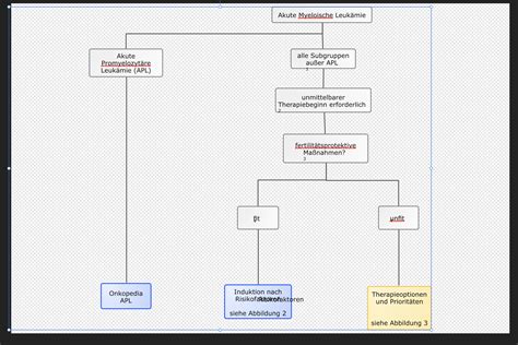 Svg Improperly Rendered V2 Bugs Found On Macos Affinity Forum