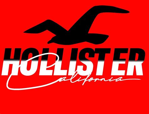 Hollister Hollister Logo Hollister Leather Ladies Slippers