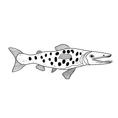 Merlin Fish Vectors And Illustrations For Free Download Freepik