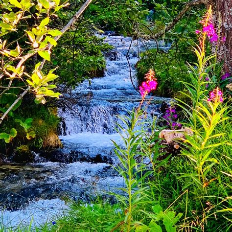 Resilienz Und Agilität Helene Mandalidis