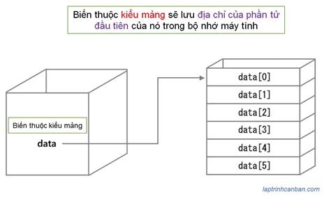 kiểu dữ liệu tham chiếu java