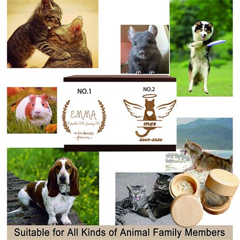 Badu Bg Персонализирана гравирана дървена кутия за съхранение на зъби Персонализирано име