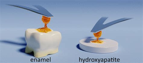 羟基磷灰石颗粒作为牙釉质系统粘附研究的多功能模型表面：力谱案例研究 Acs Biomaterials Science And Engineering X Mol