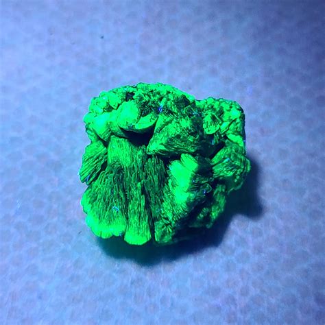 My Prized Zeunerite Radioactive Rocks