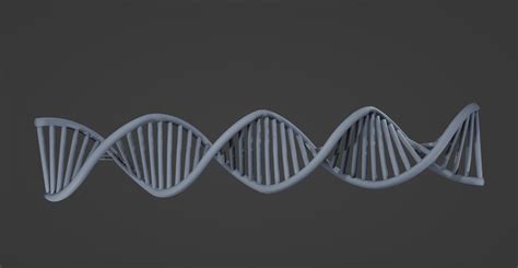 🧬 Dna Helix・ Stl File For ・cults