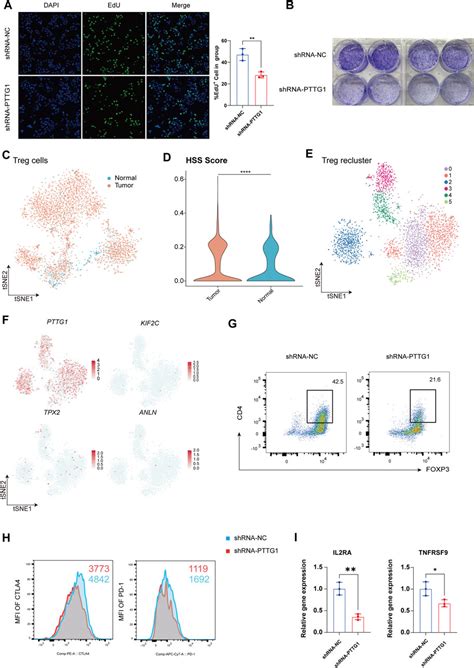 Frontiers Integrated Analysis Of Single Cell And Bulk RNA Sequencing Data Reveals A Cellular