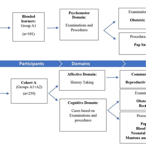 Method Of Assessment And Data Collection Of Rd Year Babes In Download Scientific Diagram