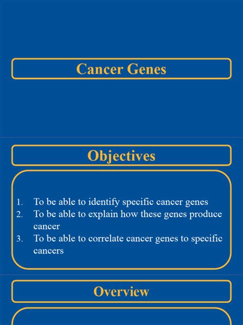 Cancer Cytogenetics Pdf Oncogene P53