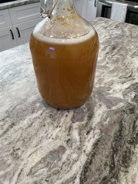 Should I Move To Secondary Fermentation Rmead