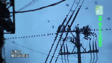 Ppp 2126 騙しno1盗 ！53～長野で南アルプスの天然美女とハメたい！ Eporner