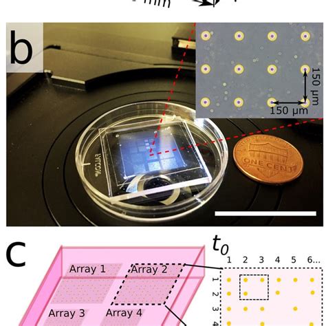 Drop Patterning Chip Design A Schematic Of The Three Layer Download Scientific Diagram