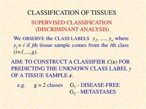 Ppt Classification Of Microarray Gene Expression Data Powerpoint