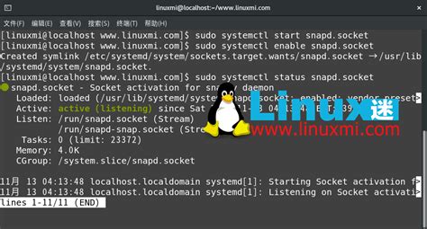在 Almalinux Rocky Linux 上启用 Snap Linux迷 在 Almalinux Rocky Linux 上启用 Snap Linux迷