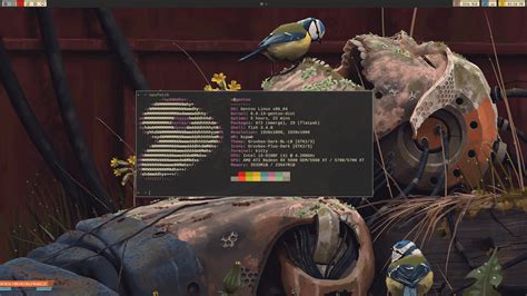 Простая и быстрая установка Gentoo Linux Linux статьи
