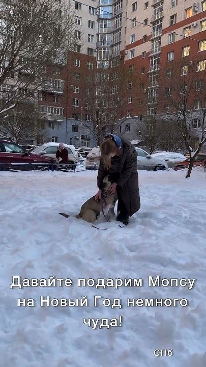 Подарите малышу дом на праздник Youtube