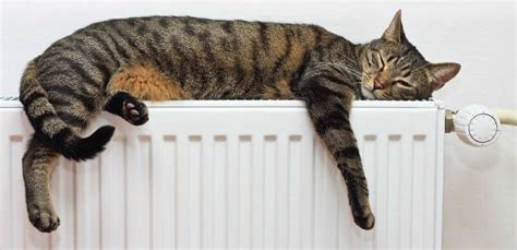 Динамичен клапан от Danfoss за постоянно диференциално налягане Otoplenie Eu