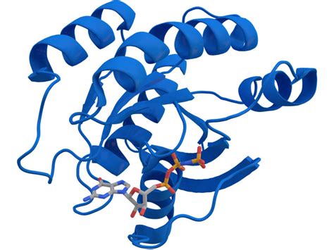 Gen Kras Là Gì Đột Biến Gen Kras Gây Bệnh Ung Thư Nào