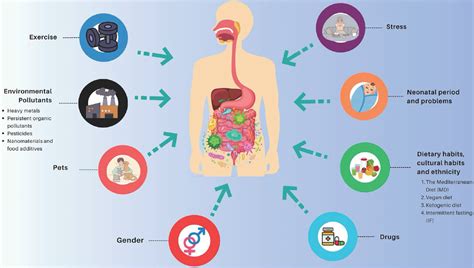 Figure 1 From Environmental Factors Affecting The Gut Microbiota And