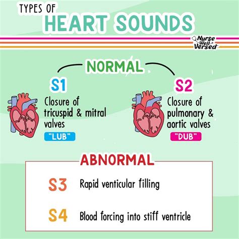 🫀 Types Of Heart Sounds 🔊 S1 Lub Start Of Systole Mitral And Tricuspid Valves C Nursing