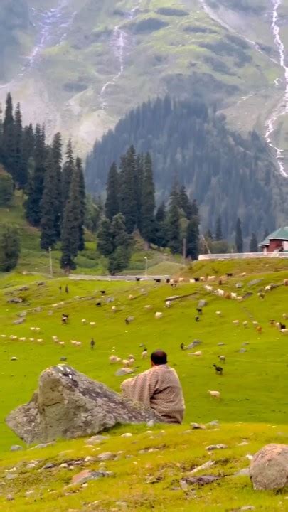 Muhammad Tahir Posted On Linkedin