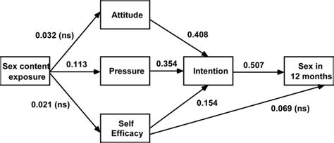 Using The Integrative Model To Explain How Exposure To Sexual Media
