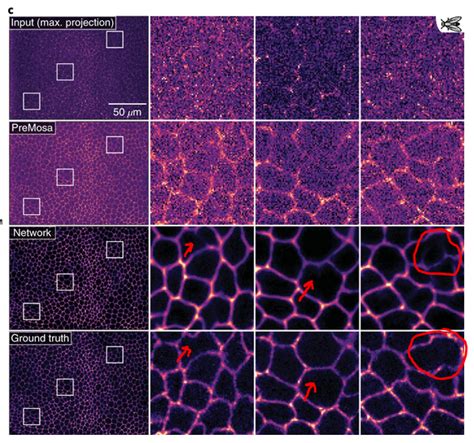 can deep learning learn existing deconvolution or other algorithms