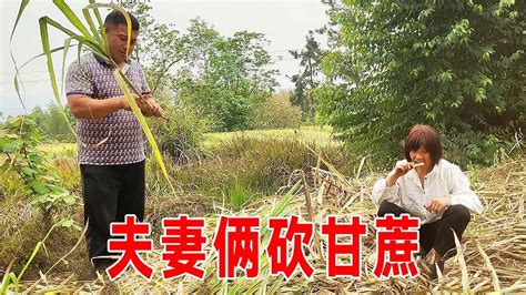 勇哥夫妻俩去砍甘蔗吃闲聊说拍视频扛不下去了却被媳妇上了一课乡野勇哥 YouTube