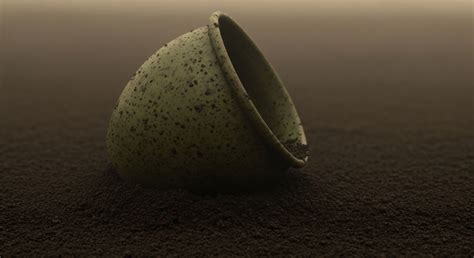 What Is Phytoextraction Process → Question