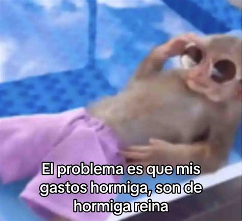 jajaja si soy xd 🤣 r memesenespanol