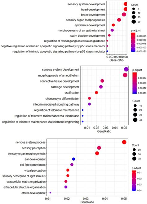 Clusterprofiler Diagrams Summarizing The Overrepresentations Of Gene