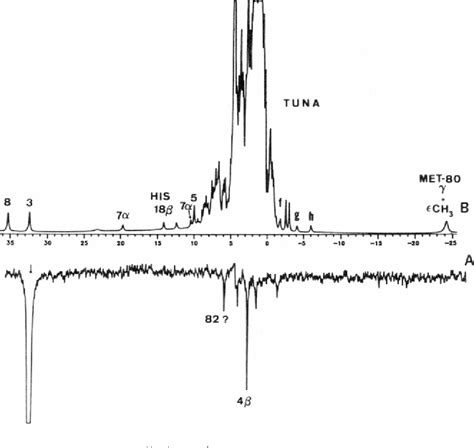 Figure 8 From Proton Hyperfine Resonance Assignments Using The Nuclear Overhauser Effect For