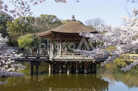 浮見堂 奈良公園 No 25466654写真素材なら写真AC無料フリーダウンロードOK