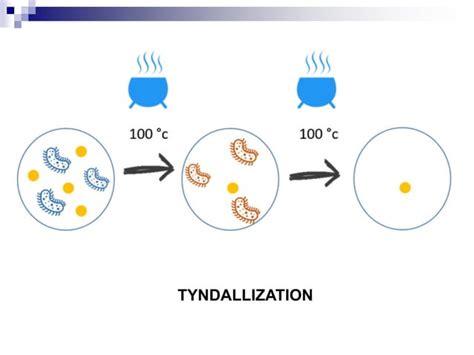Medical Microbiology Laboratory Sterilization And Disinfection Pdf