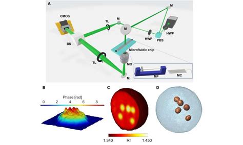 A New 3d Tool For Screening And Measuring Intracellular Lipid Droplets Using Flow Tomography