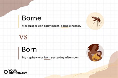 Away And Away From Là Gì Ý Nghĩa Ví Dụ Và Cách Sử Dụng