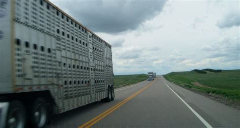 Bqa Launches New Transportation Program Morning Ag Clips