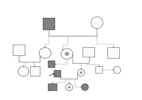 X Linked Recessive Gene Pedigree Edrawmax Template