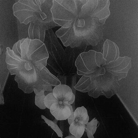 สนธิญาณ คนเขมรรู้ทันตระกูลฮุนแล้ว จับตามาเนตส่อหลุดอำนาจ ลูกเตียบัญลุ้นนั่งผู้นำใหม่ ฮุนเซน