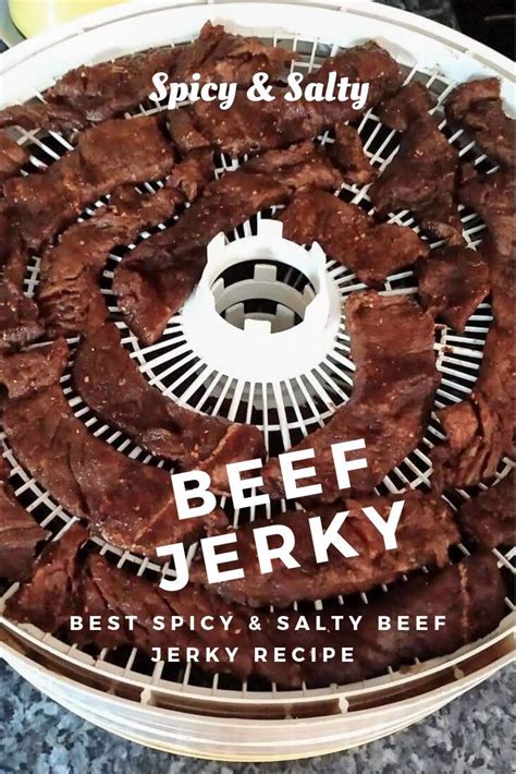 Food Dehydrator Recipes Beef Jerky Recipes Beef Jerky Recipe