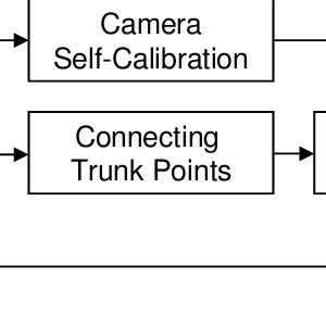 System Diagram Of Our Tree Modeling System Download Scientific Diagram