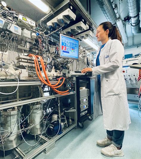 Fuel Cell Testing Procedure At Jacob Coffey Blog