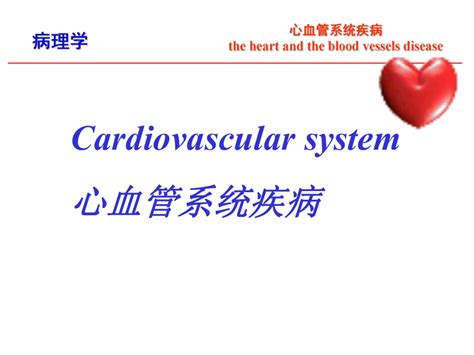 []第6章 心血管系统疾病 4课件 共30张ppt 《病理学·第4版》同步教学 科学出版社 课件下载预览 二一课件通