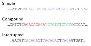 Simple Sequence Repeats SSR In Plant Breeding