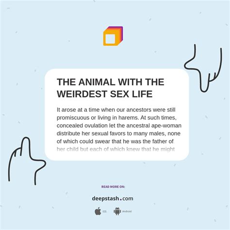 The Animal With The Weirdest Sex Life Deepstash