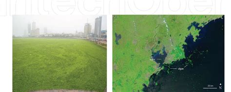 Figure 1 From Detection And Monitoring Of Marine Pollution Using Remote Sensing Technologies