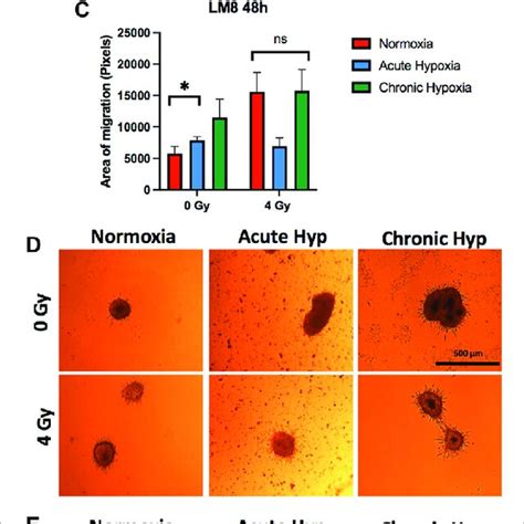 Migration Assay Of The Sphere In Collagen Comparison Was Made Between Download Scientific
